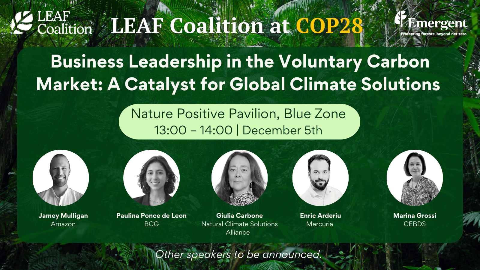 The LEAF Coalition at COP28